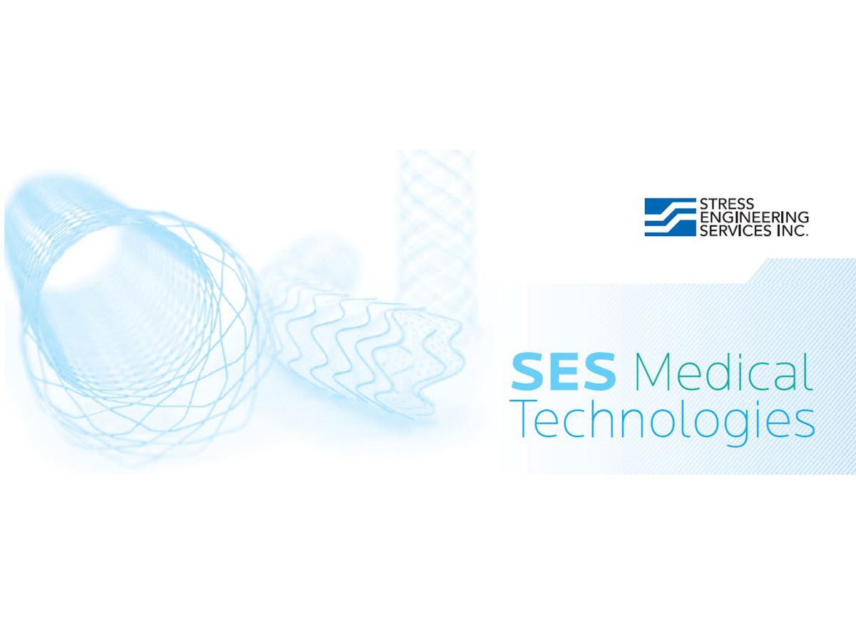 SES Medical Technologies: Risk Management Approach